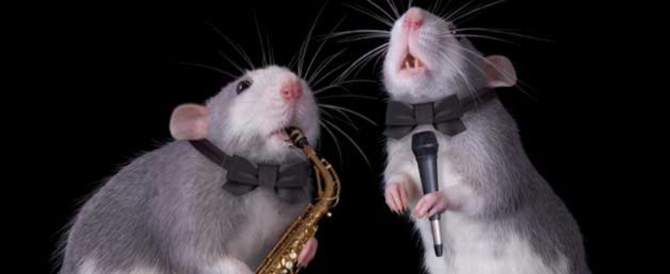 11 Horrendous Sax Jokes for Saxophone Day 2010 » Best. Saxophone ...